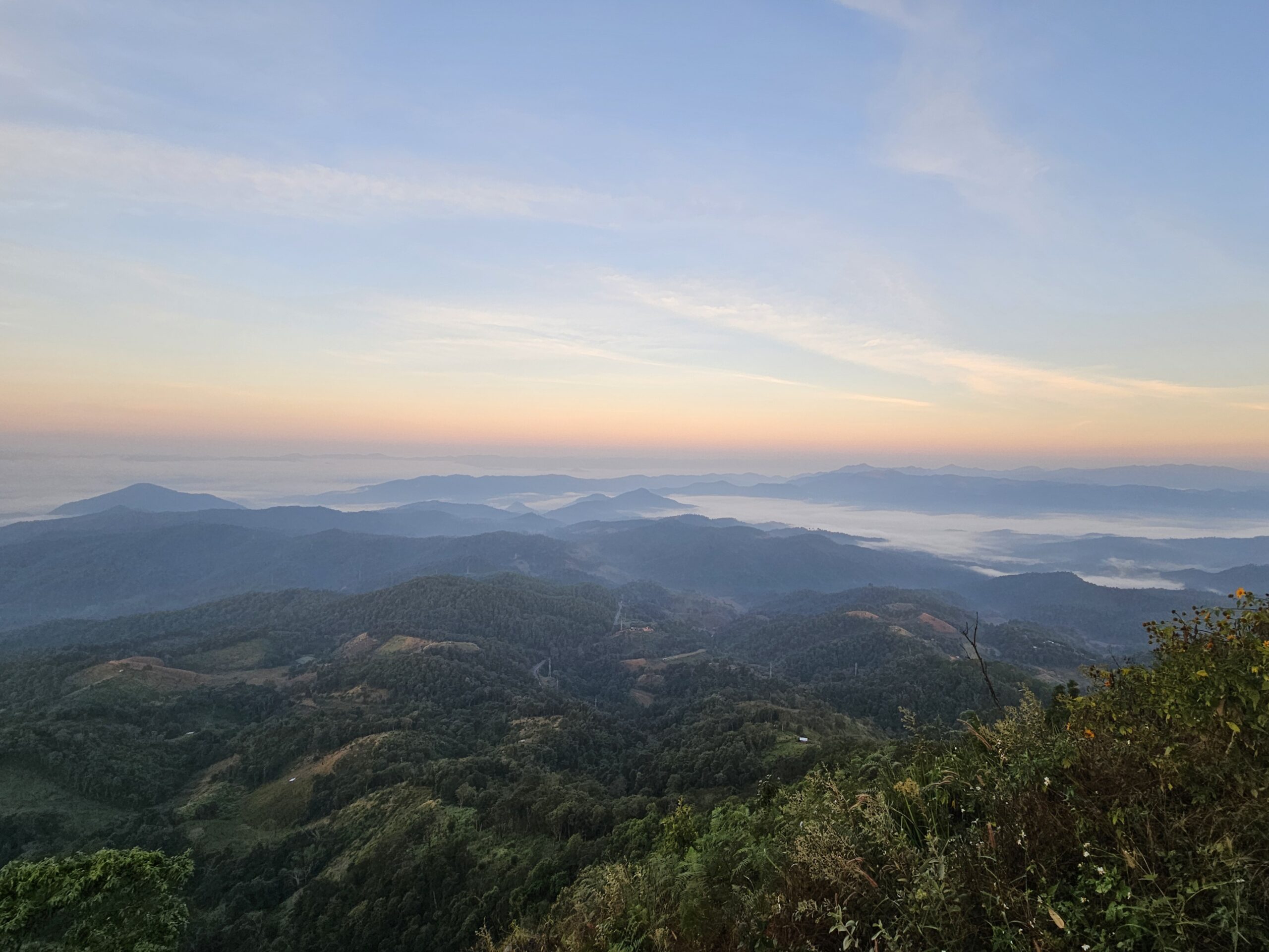 Regional Manager: Latin America (remote from region) - FutureSense ...