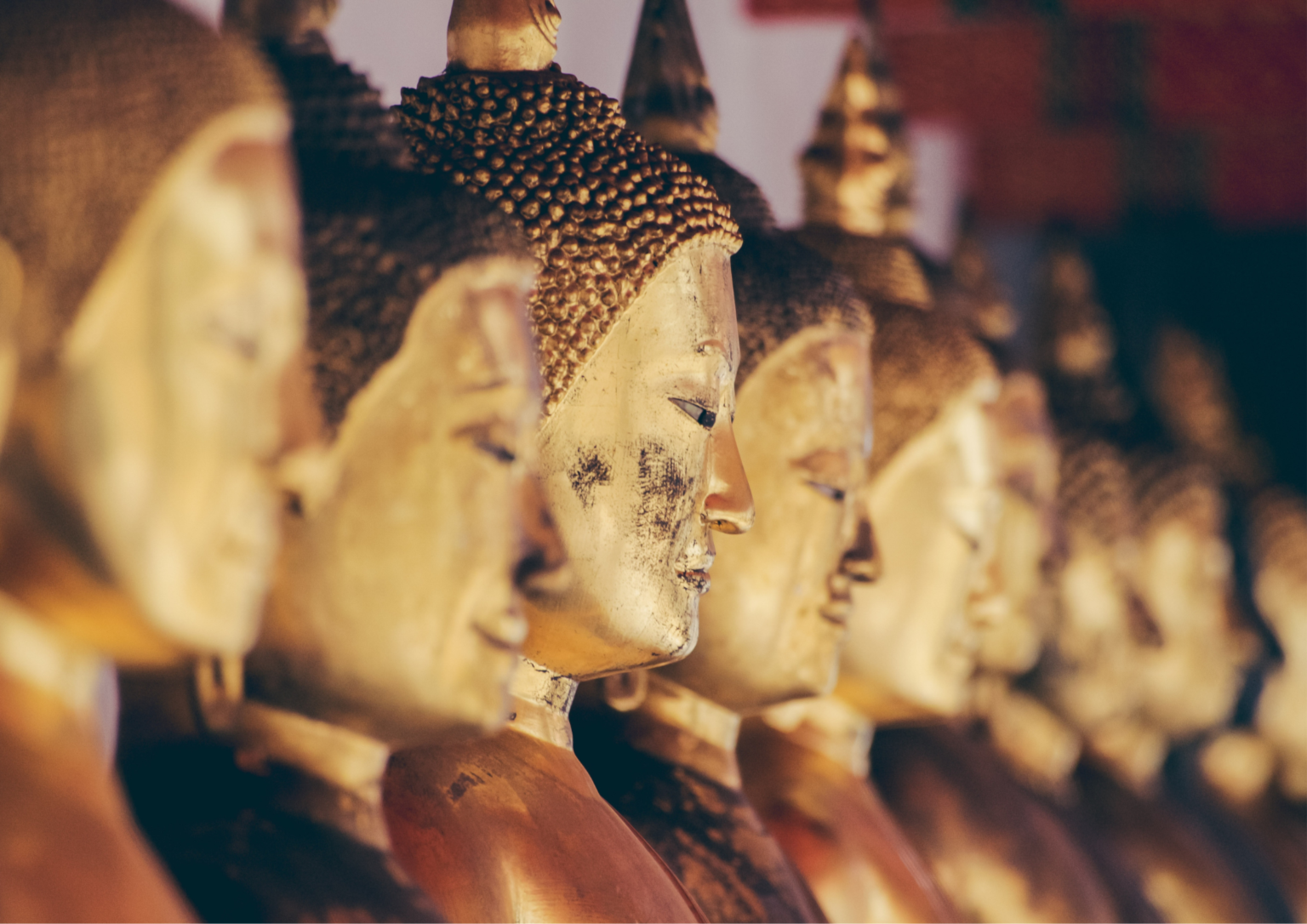 Home - FutureSense Foundation